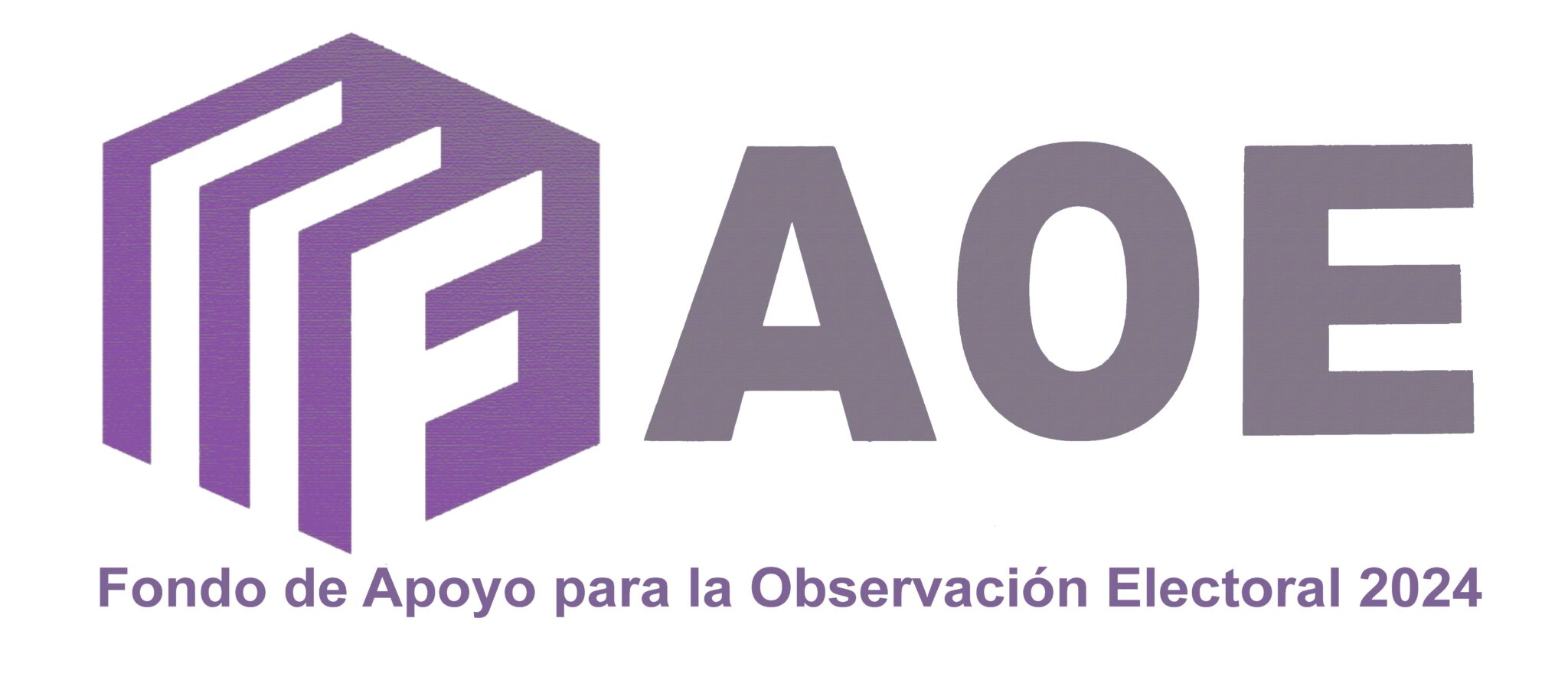 Convocatoria para el Fondo de Apoyo para la Observación Electoral 2024 ...